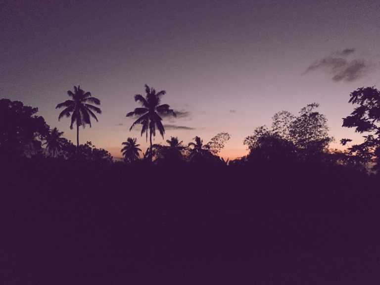 Farm Living in Alitagtag Batangas | NORTHERN IDENTITY